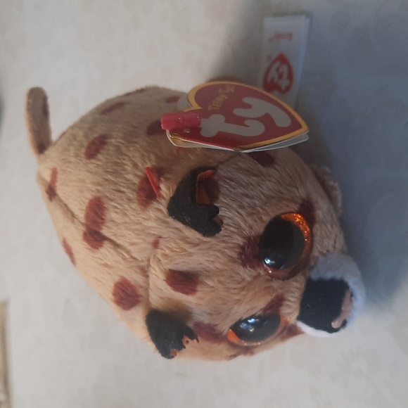 Ty | Toys | Ty Teeny Tys Baby Kenny The Lynx | Poshmark